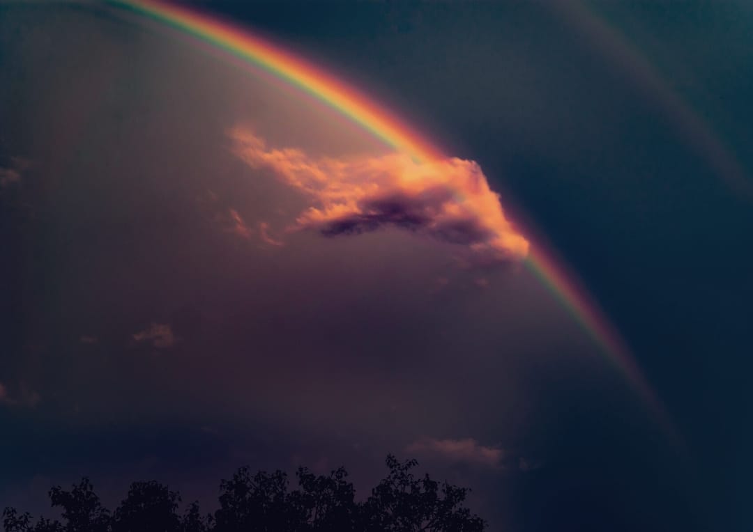 The Most Inspiring TED Talk on Overcoming Adversity - New Inner Stories